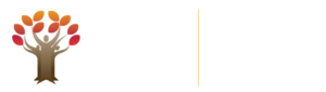 Canadian Primary Care Information Network